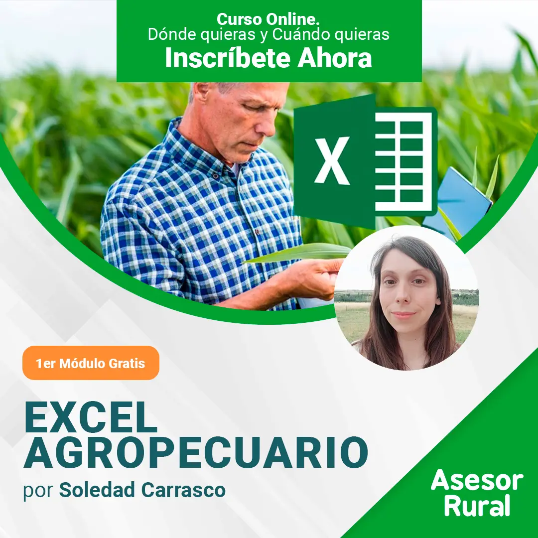 Optimizar la Rentabilidad de la Empresa Agropecuaria usando planillas Excel – Asesor Rural